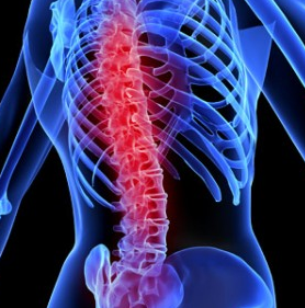 Paraplegia - La paralisi degli arti inferiori | Ability Channel