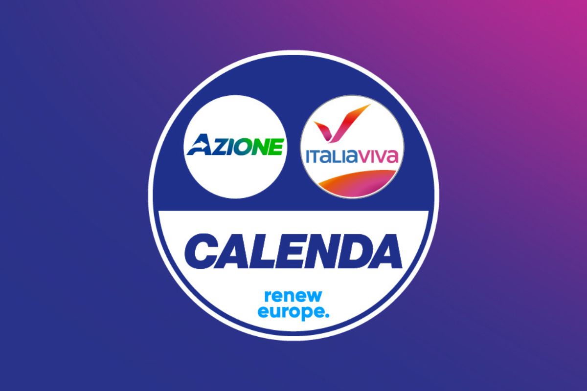 Elezioni politiche 2022: proposte per disabilità di Azione-Italia Viva ...