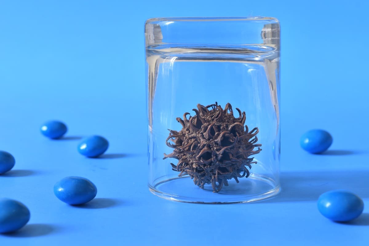 Norovirus, l'influenza intestinale: sintomi, cause, contagio e cure