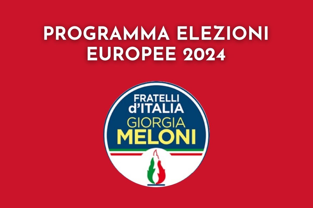 Elezioni Europee 2024 Programma Fratelli Ditalia E Proposte Disabilità
